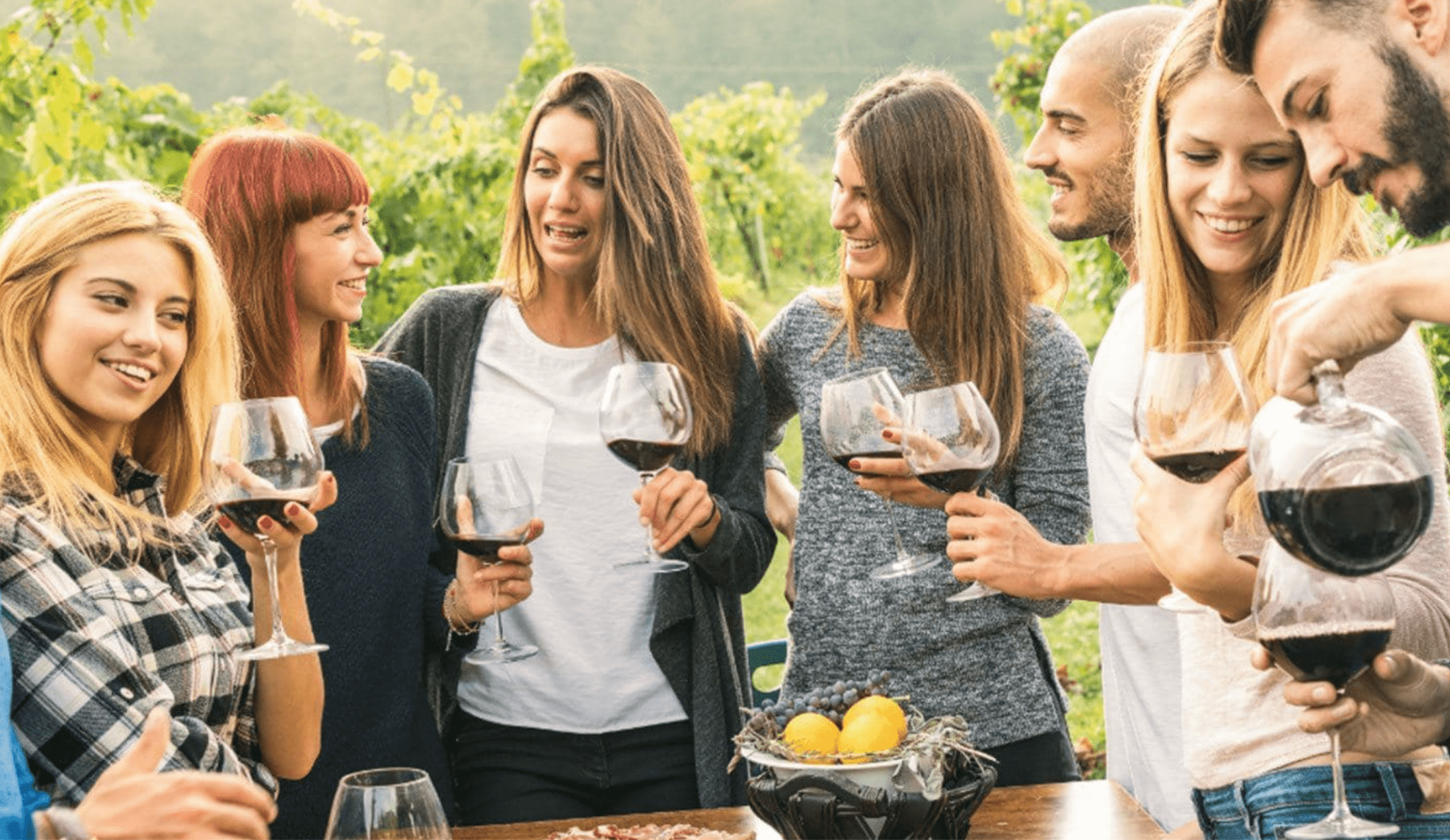 Ok Tours – Tour & Bus Charter Services